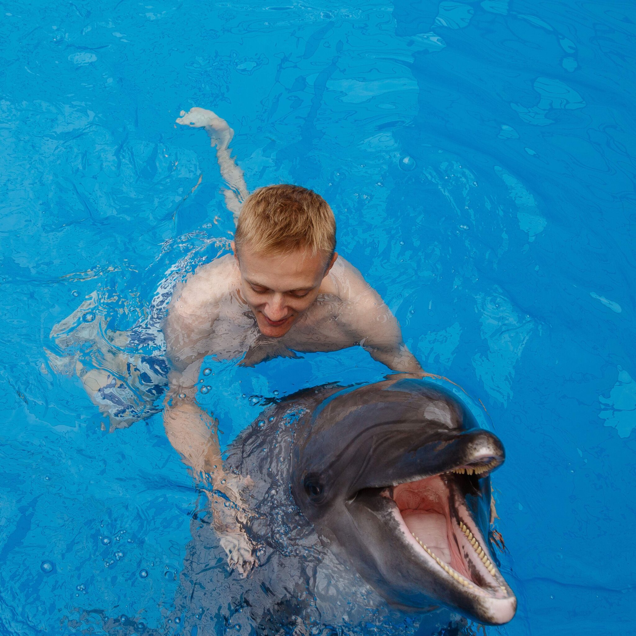 Cómo la terapia con delfines mejora el cuidado del autismo ...